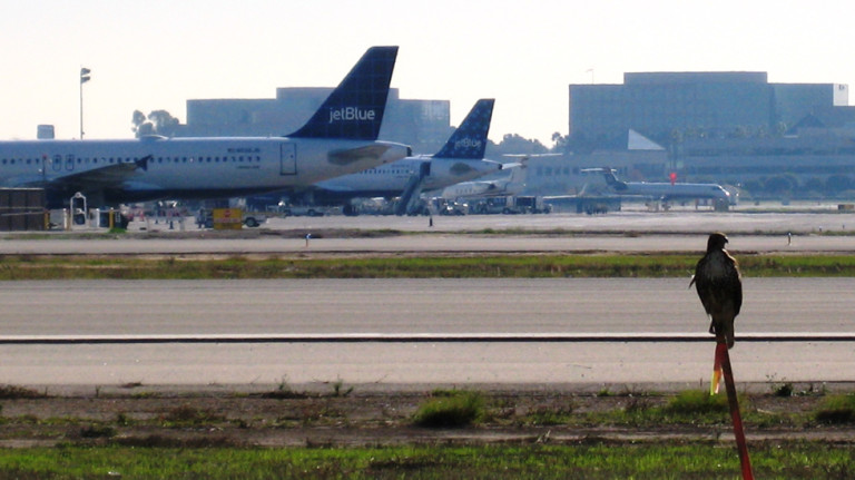 Long Beach Airport | LSA