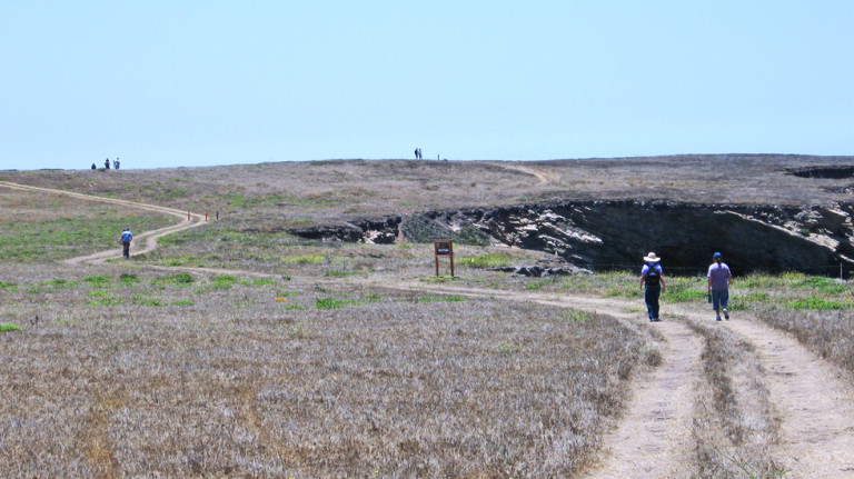 Point Buchon Trail | LSA