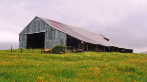 Tolay Lake Regional Park and Tolay Creek Ranch | LSA