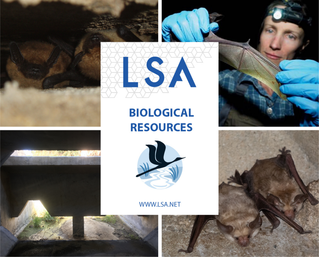 Natural Resources Archives Lsa